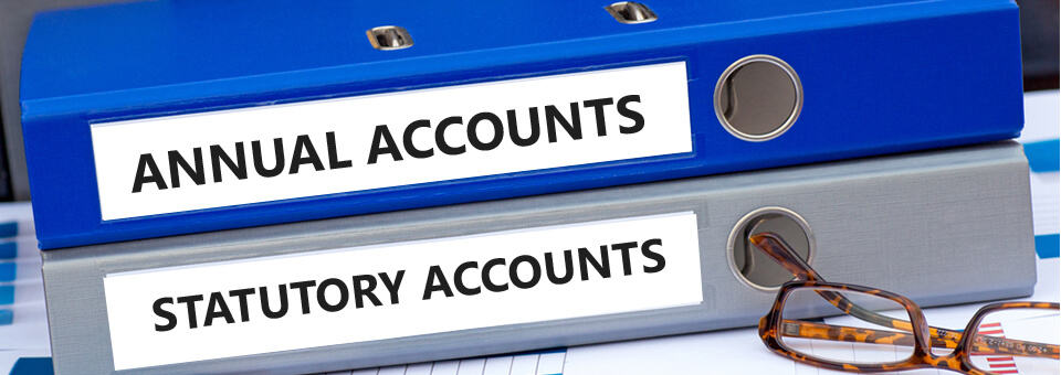 Annual accounts and statutory accounts