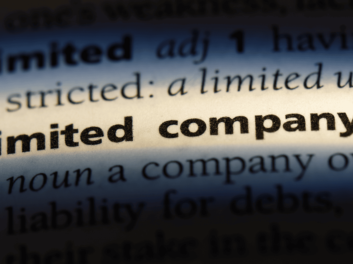 Limited Liability Company Llc Advantages Disadvantages Understanding