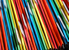 A Guide to the Register of Members | Rapid Formations