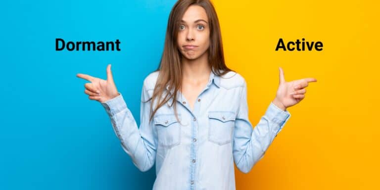 Micro-Entity Accounts - The Beginner's Guide